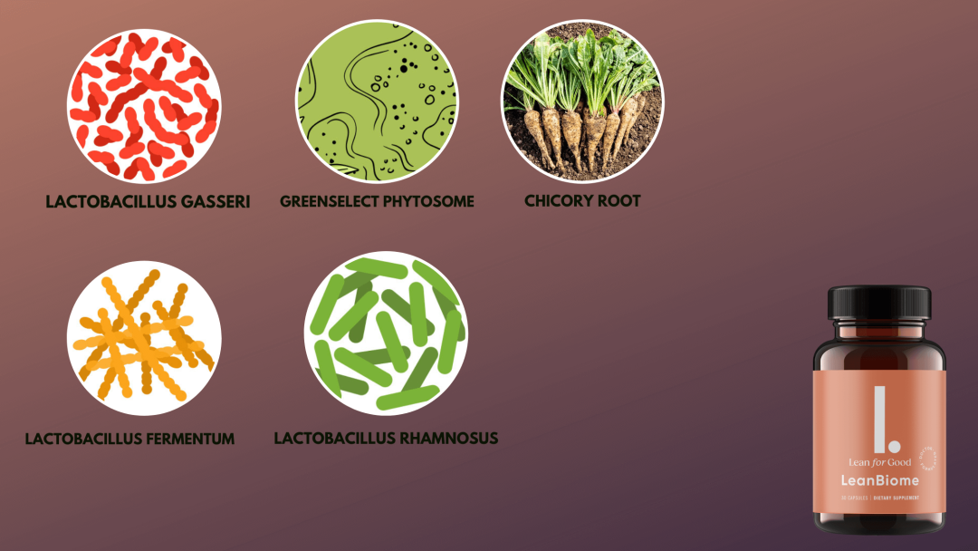 LeanBiome Reviews: The Secret Of Potent LeanBiome Ingredients Are ...
